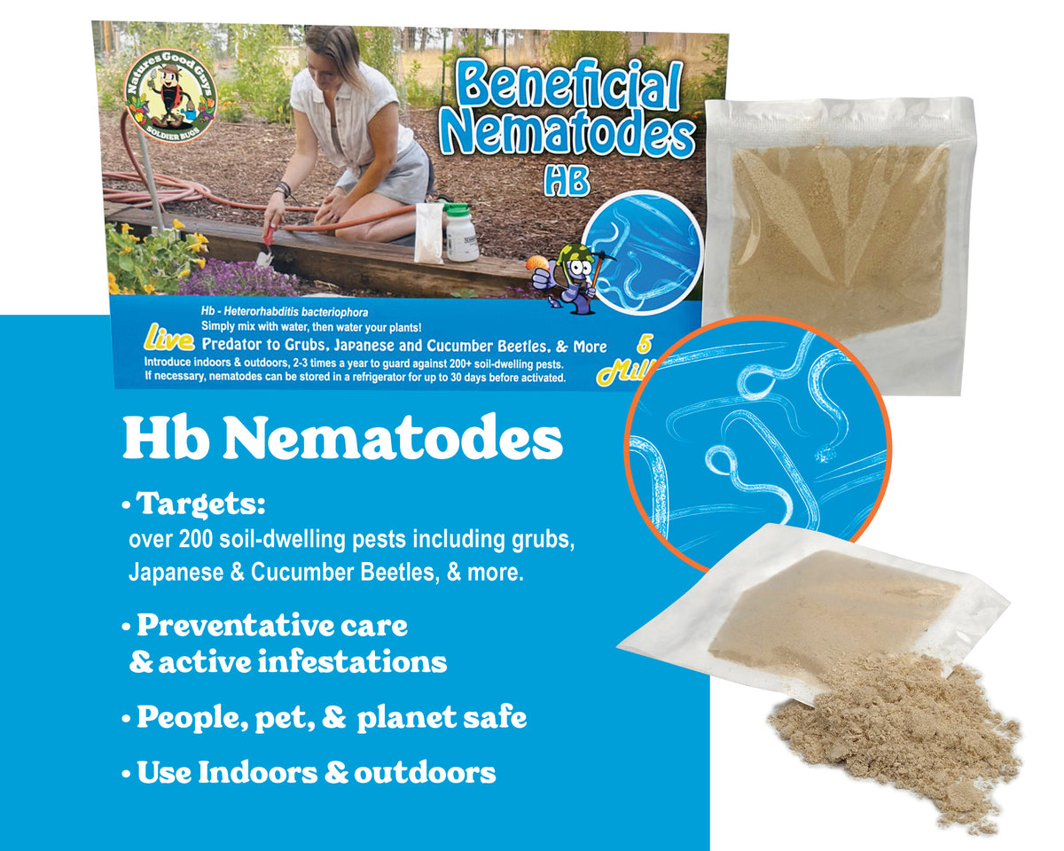 Beneficial Nematodes HB – Targets Grubs, Japanese Beetles, Cucumber Be – NaturesGoodGuys