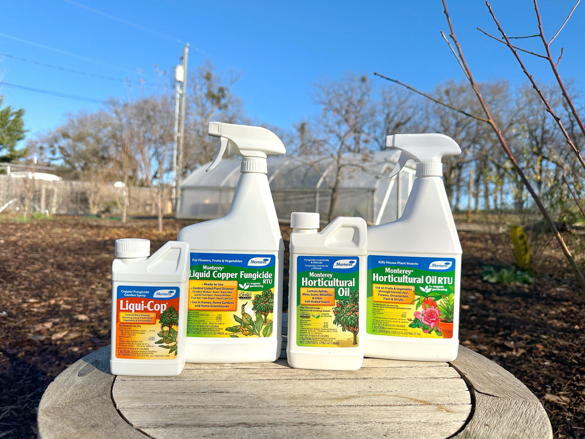 Dormant Spraying: A Winter To-Do That Pays Off in Spring – NaturesGoodGuys