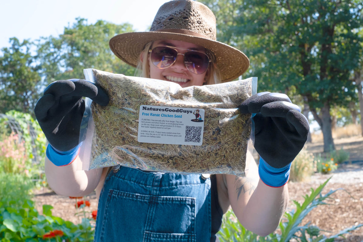 Free Range Chicken Seed – NaturesGoodGuys