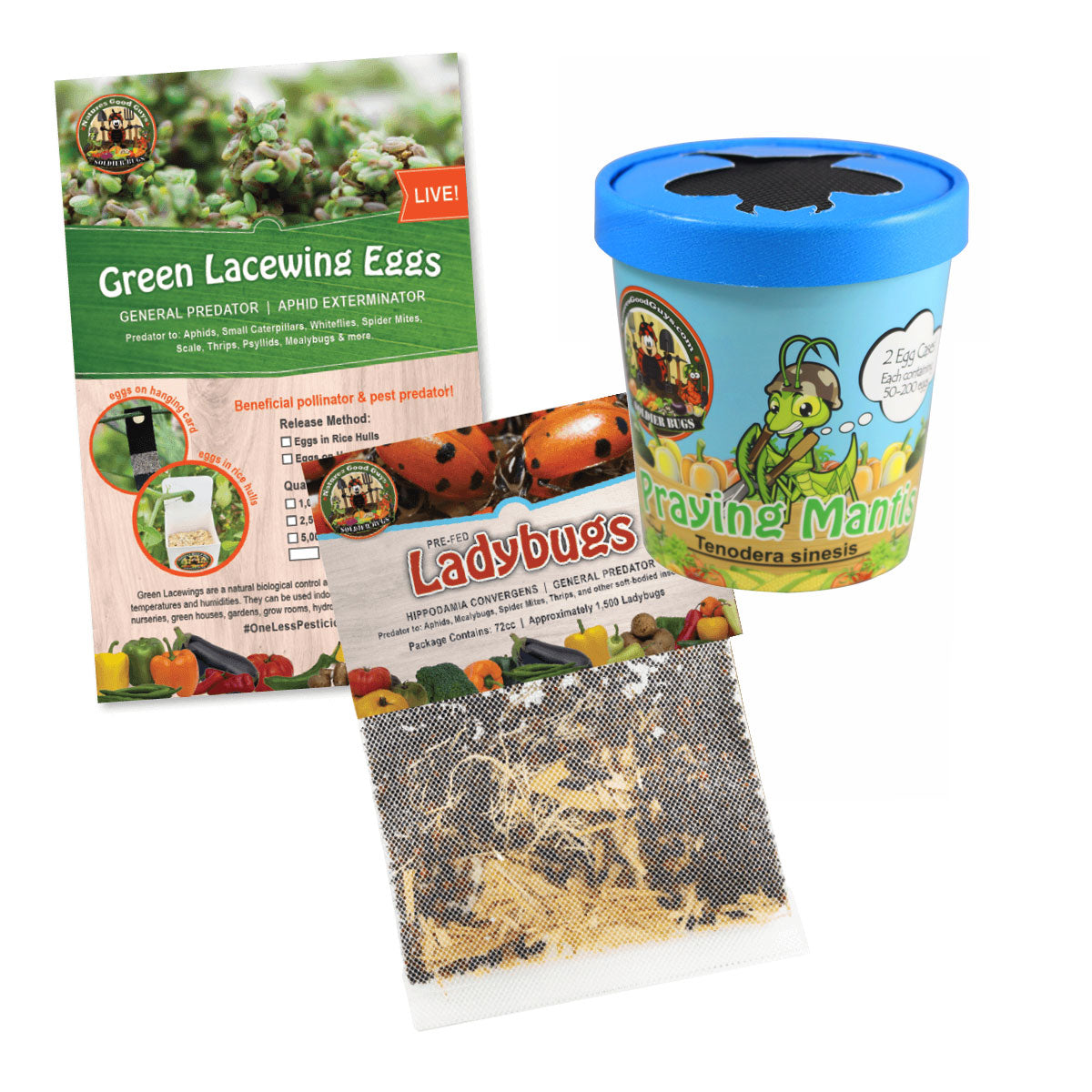 General Predator Garden Pack | Ladybugs | Praying Mantis | Green ...