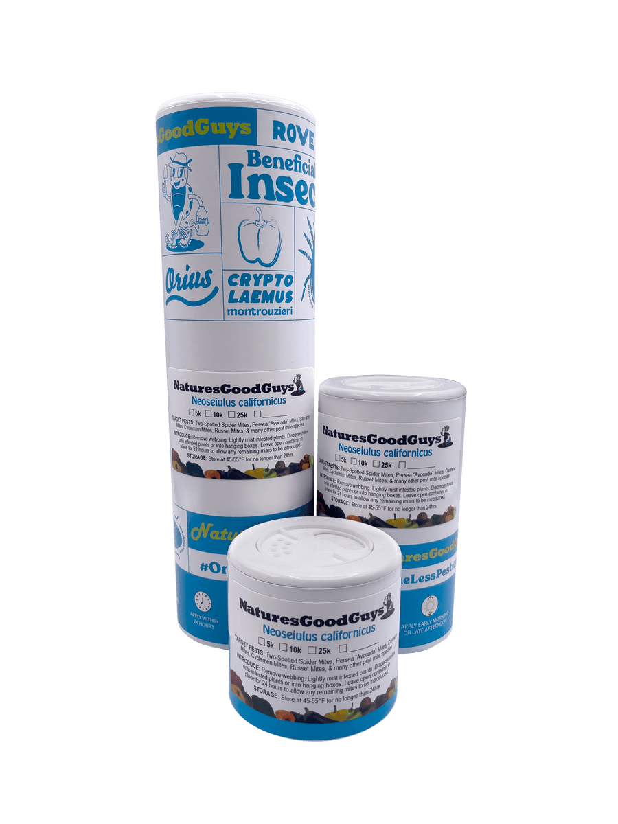 Neoseiulus californicus Bottled Mites | General Mite Predator | Russet ...
