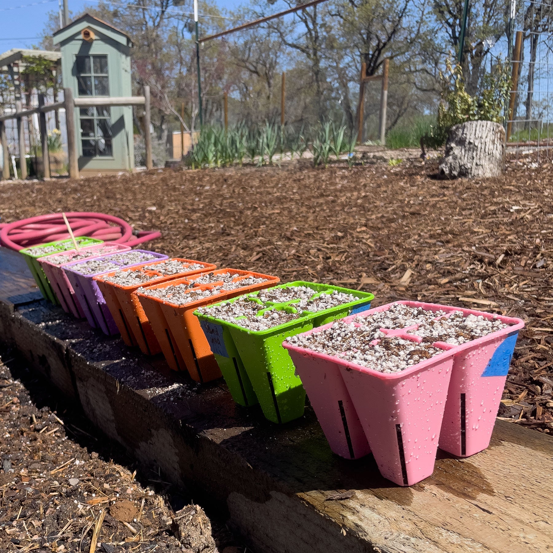 Seed Tray Garland Professional 84 Cell Plug Tray Electrical World Seed ...