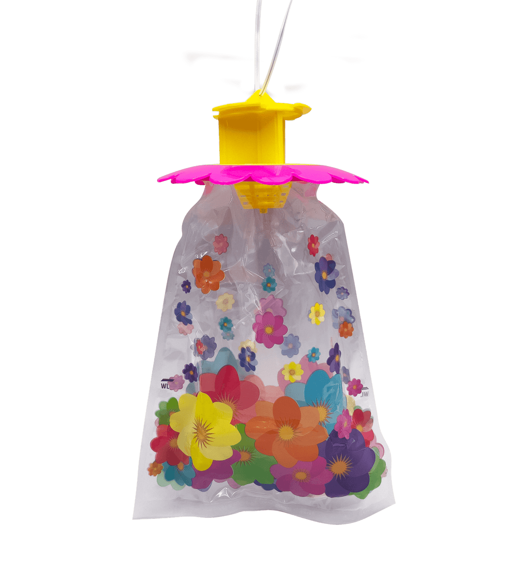 Colorful Fly Trap – NaturesGoodGuys