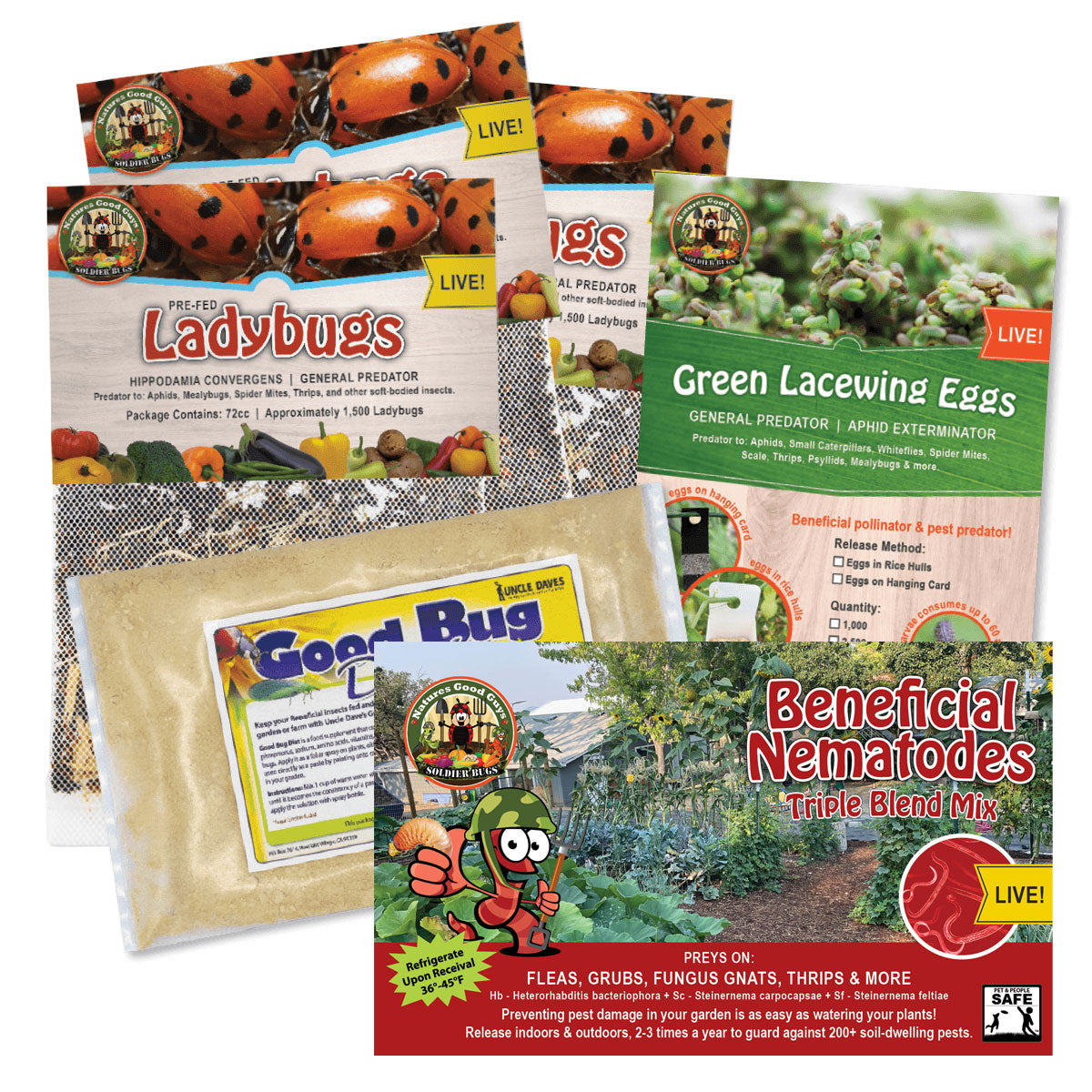 Live Ladybugs | Praying Mantis Egg Cases | Green Lacewing Eggs ...