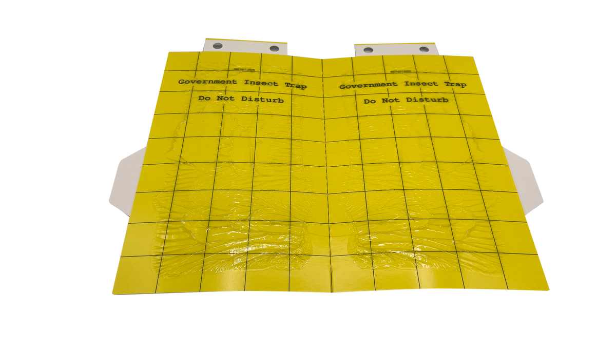 X-Large Aphid & Whitefly Yellow Sticky Trap – NaturesGoodGuys