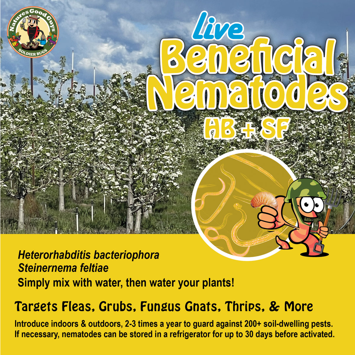 Beneficial Nematodes HB+SF Mix - Control Codling Moths, Fungus Gnats ...