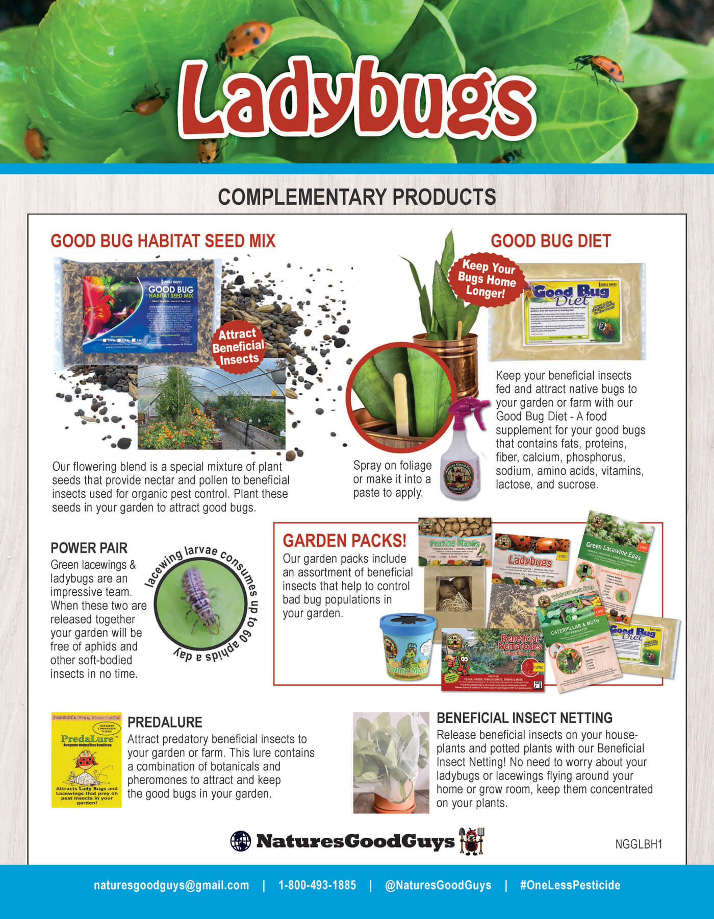 Ladybugs - General Predators – NaturesGoodGuys