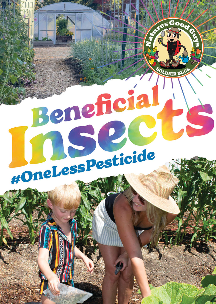 Live Ladybugs and other Beneficial Insects to control Pest Insects ...