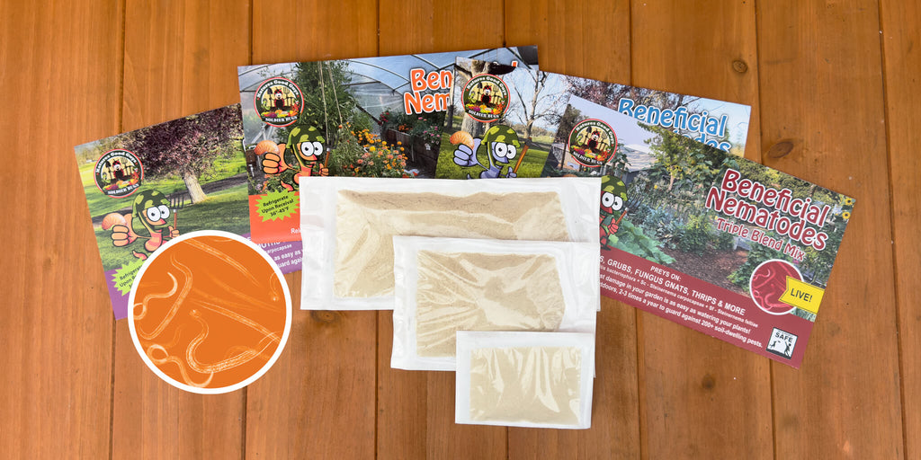 Live Ladybugs and other Beneficial Insects to control Pest Insects ...