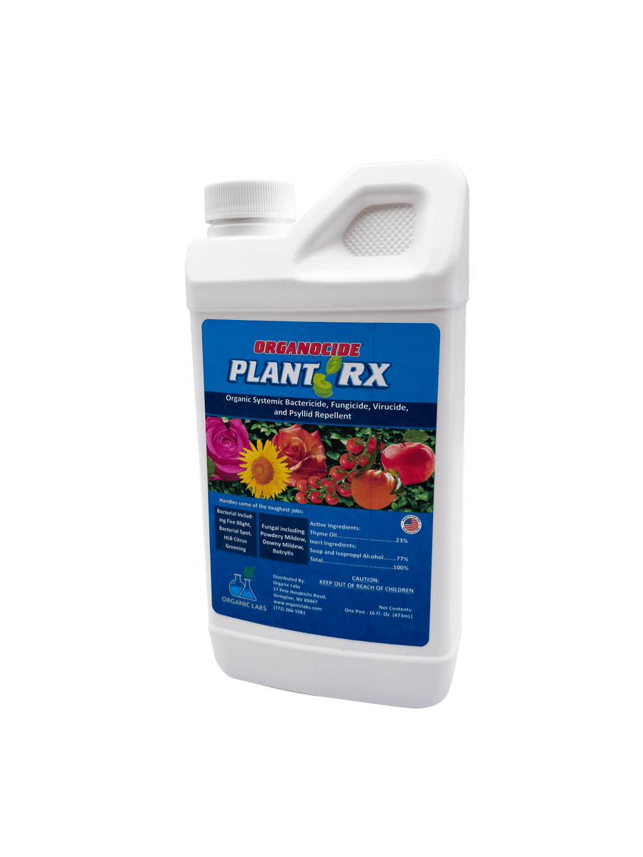 Organocide Plant RX - Organic Repellent - 16-fl oz Concentrate ...