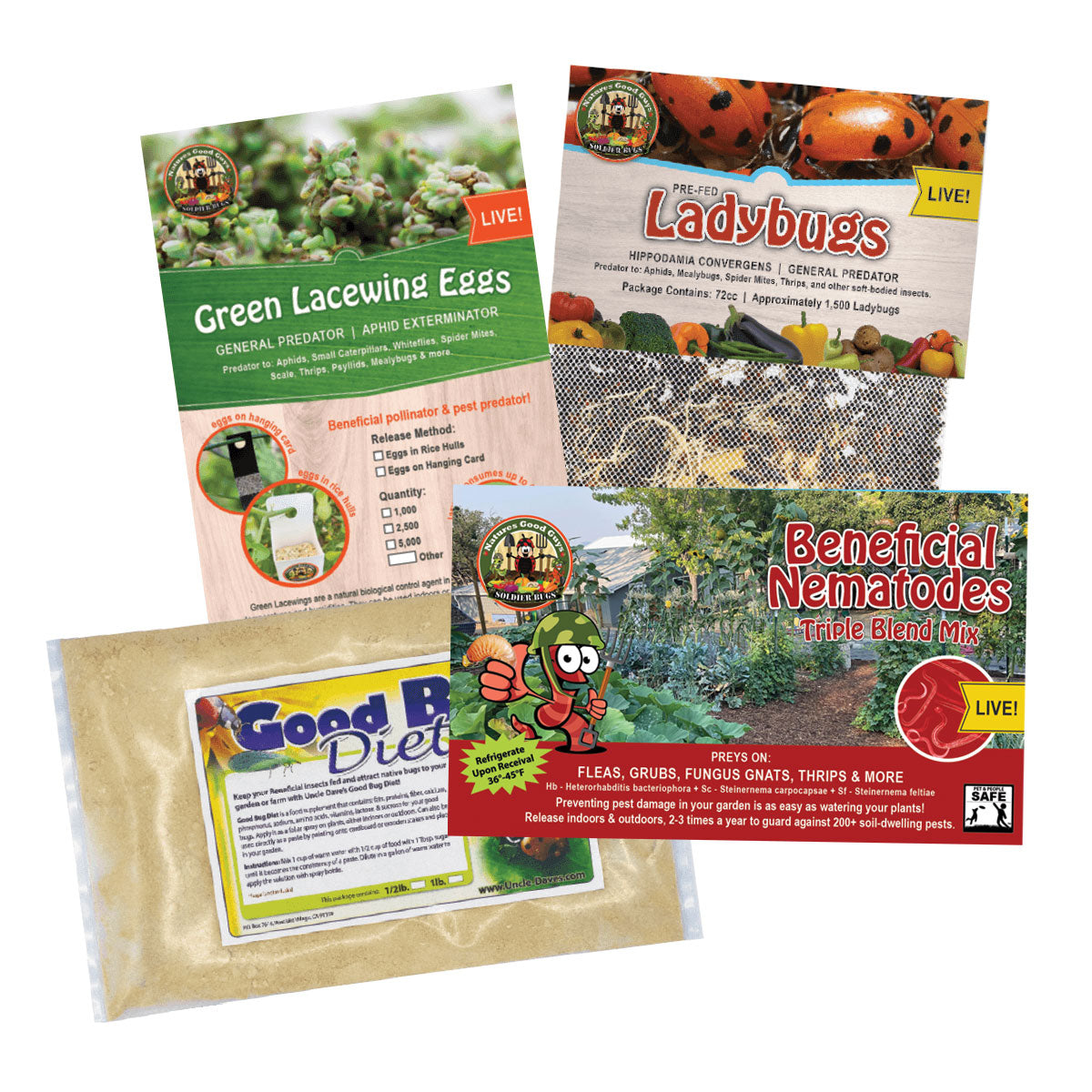 Small Garden Pack - 1,500 Ladybugs, 1,000 Green Lacewings, 5M Nematode ...