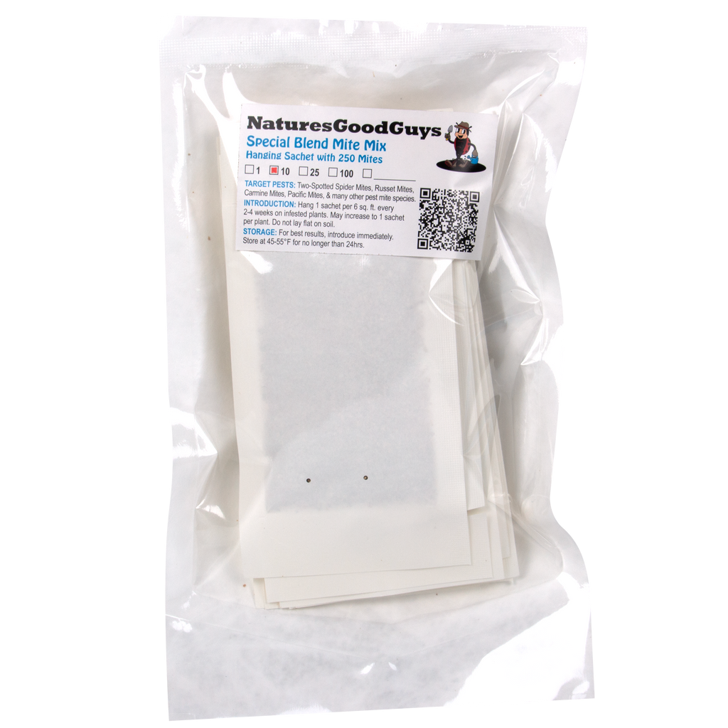 Special Blend Predatory Mites | Maximum Spider Mite Control ...