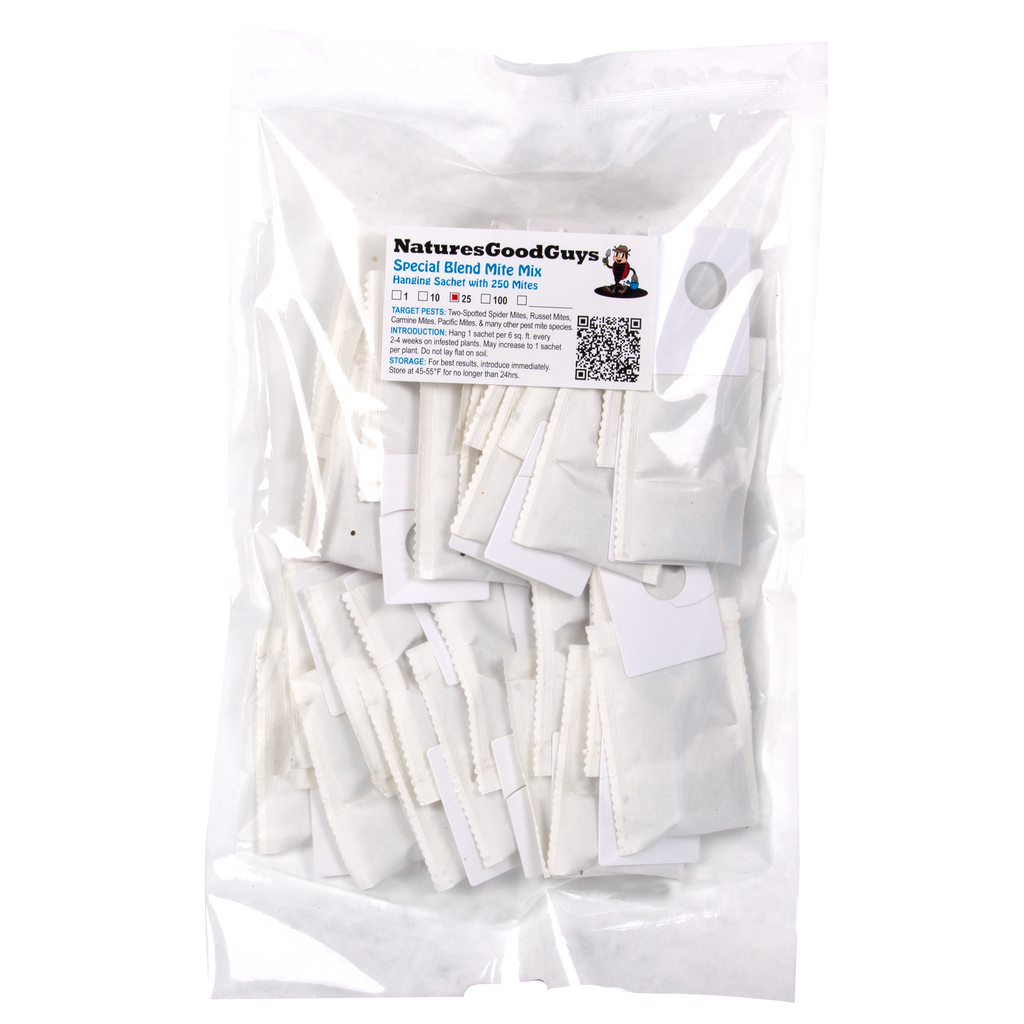 Special Blend Predatory Mites | Maximum Spider Mite Control ...
