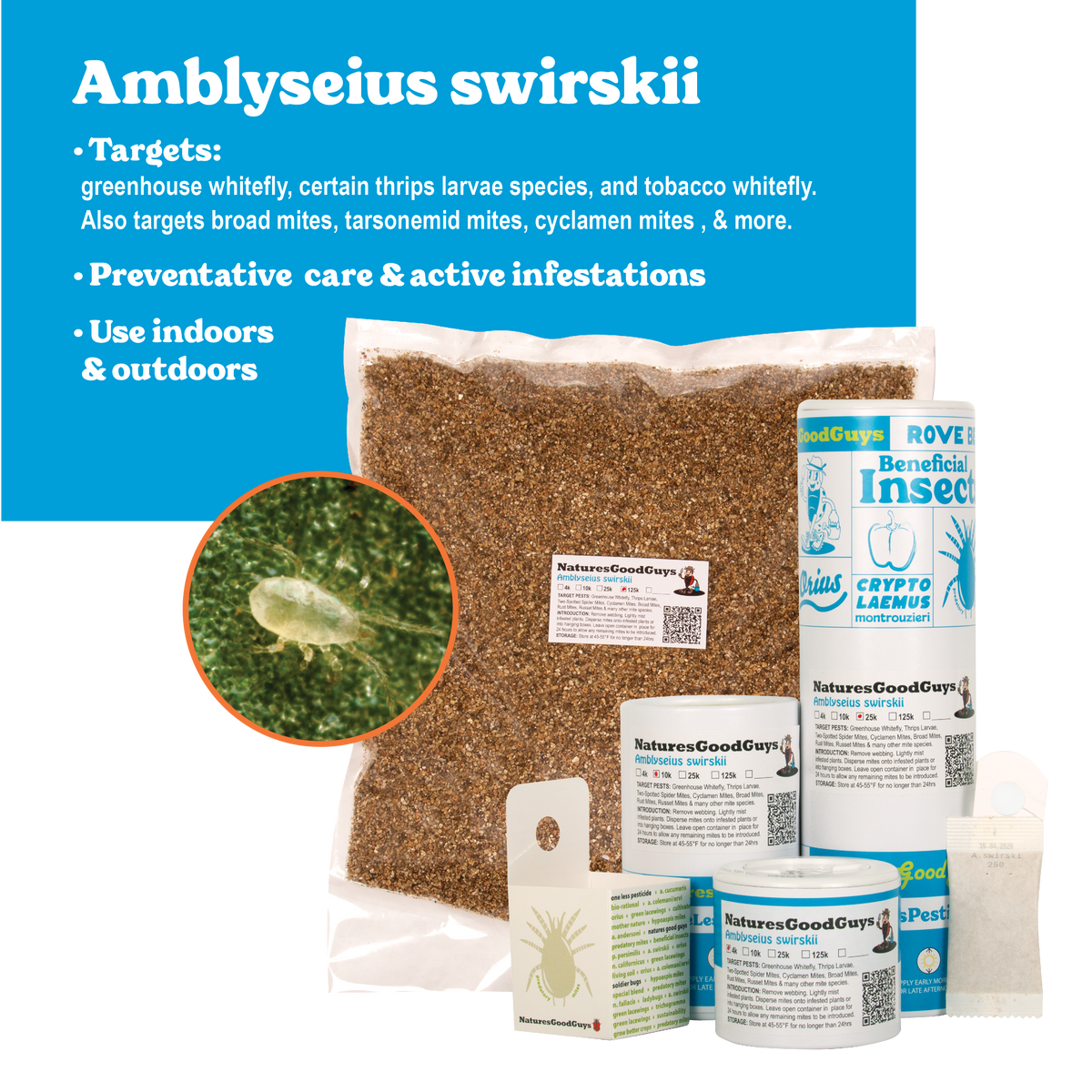 Amblyseius swirskii Sachets - Spider Mite, Thrips, & Whitefly Control ...