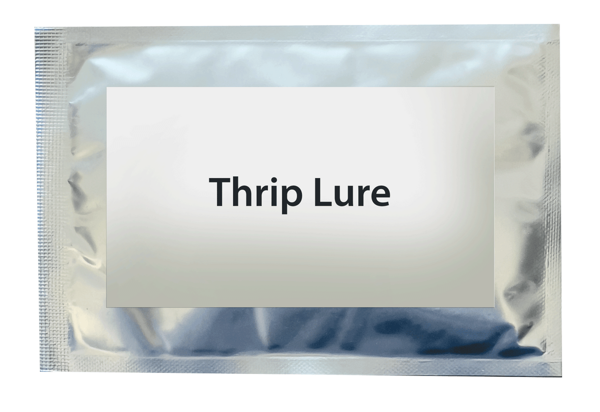 Thrips Trap Kit – NaturesGoodGuys