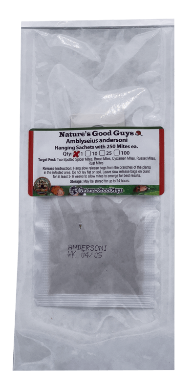 Amblyseius andersoni Sachets | General Mite Predator – NaturesGoodGuys