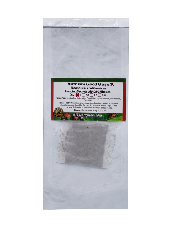 Neoseiulus californicus Sachets | General Mite Predator | Russet Hemp ...