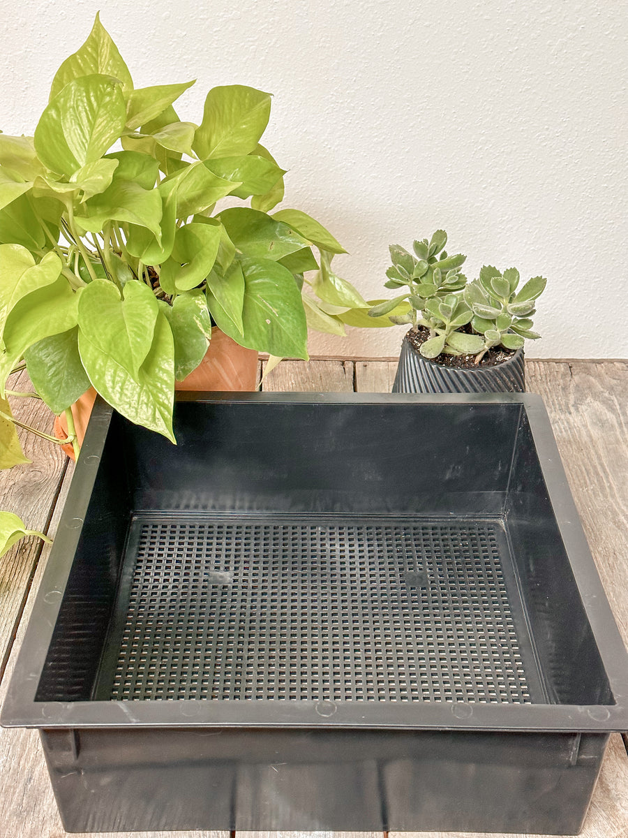 Multipurpose Soil Sifter/Propagation Tray -- Compost, Worms, Potting S ...