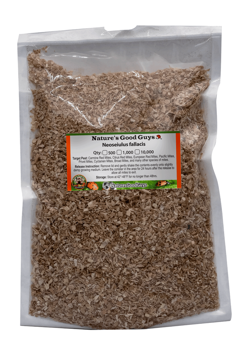 Neoseiulus fallacis - Cooler Climates - Catch Mites in Hibernation ...