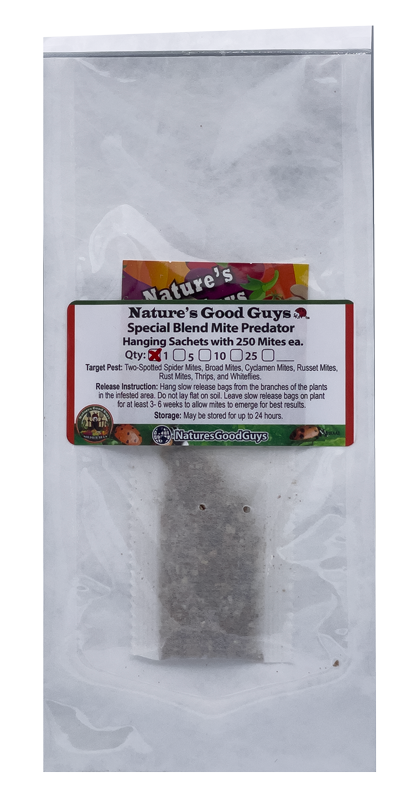 Special Blend Predatory Mite Sachets | Maximum Spider Mite Control ...